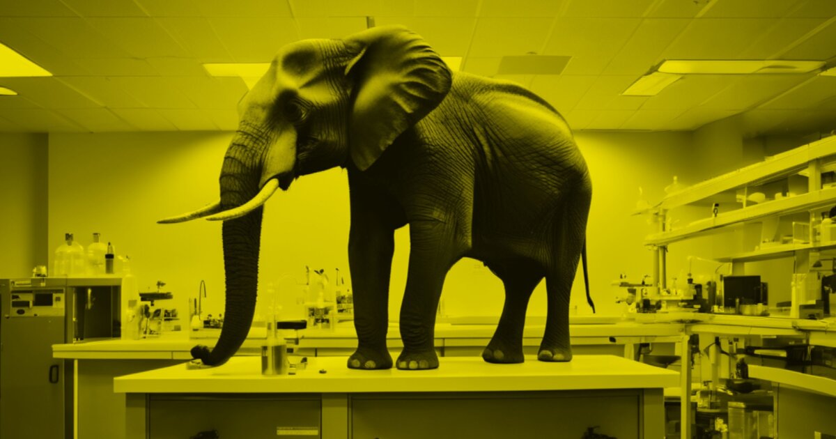 Elephants in the Lab: Part II - Elliott Wood