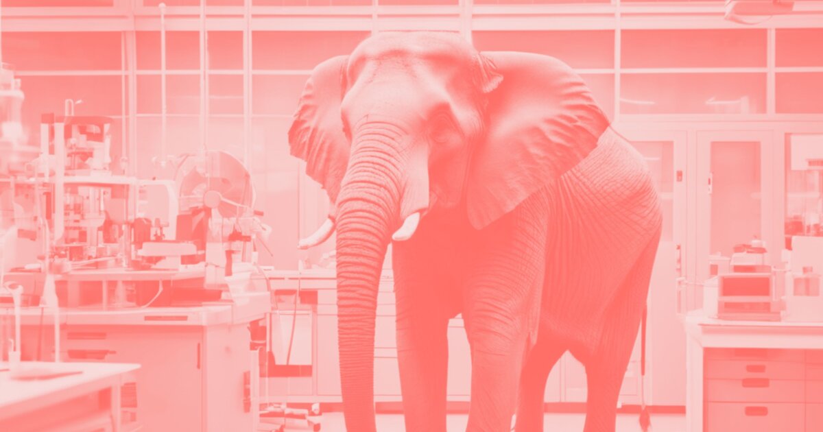 Elephants in the Lab: Part I - Elliott Wood